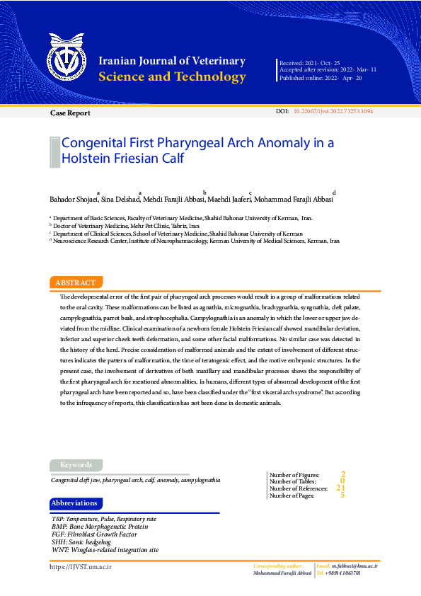 (PDF) Congenital First Pharyngeal Arch Anomaly in a Holstein Friesian Calf