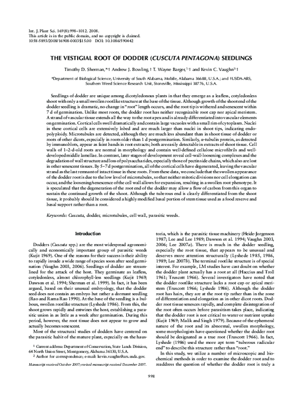 (PDF) The Vestigial Root of Dodder (Cuscuta pentagona) Seedlings | Tim ...