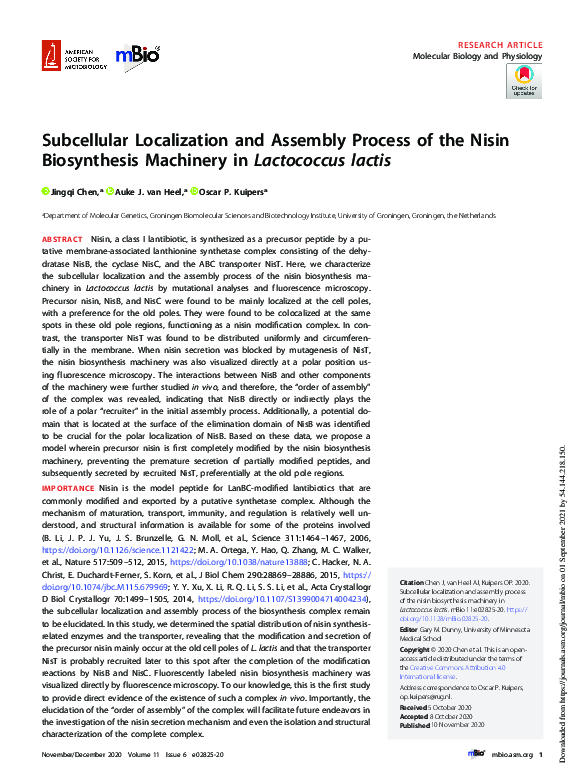(PDF) Subcellular Localization and Assembly Process of the Nisin ...