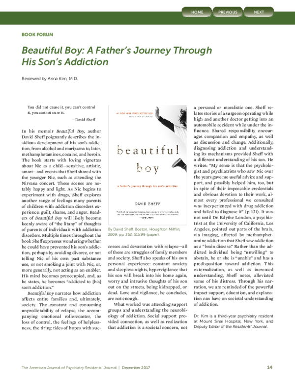 (PDF) Beautiful Boy. A Father's Journey through His Son's Addiction