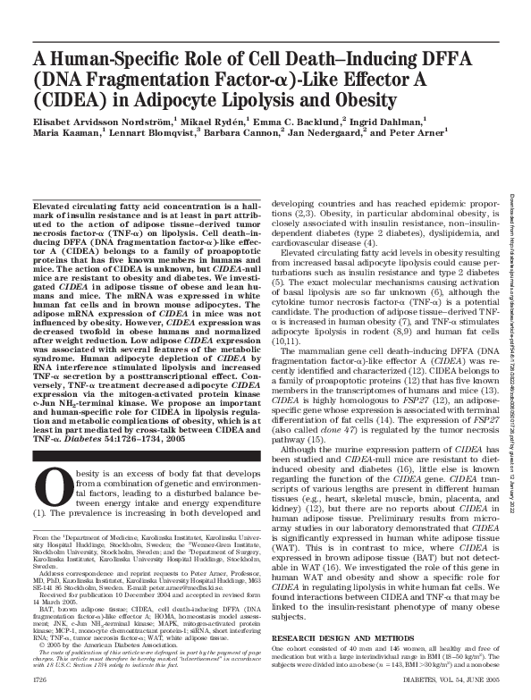 (PDF) A Human-Specific Role of Cell Death-Inducing DFFA (DNA ...