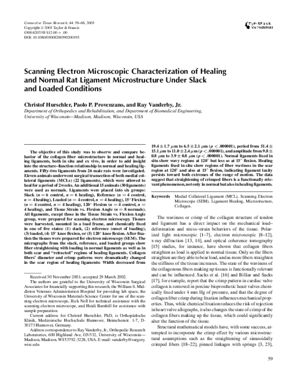 (PDF) Scanning Electron Microscopic Characterization of Healing and ...