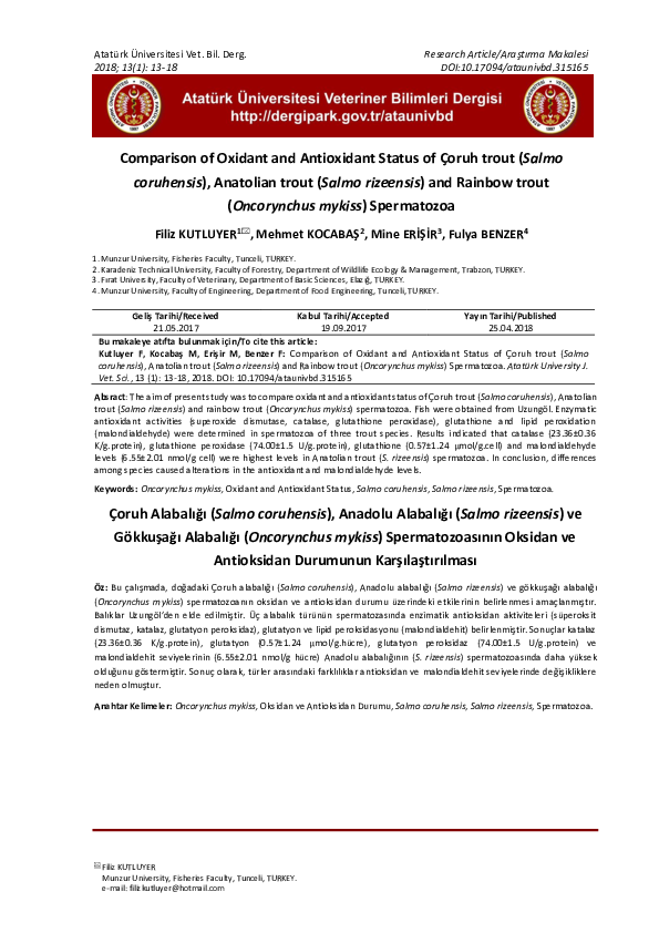 (PDF) Doğadaki Çoruh alabalığı (Salmo coruhensis), Anadolu alabalığı ...