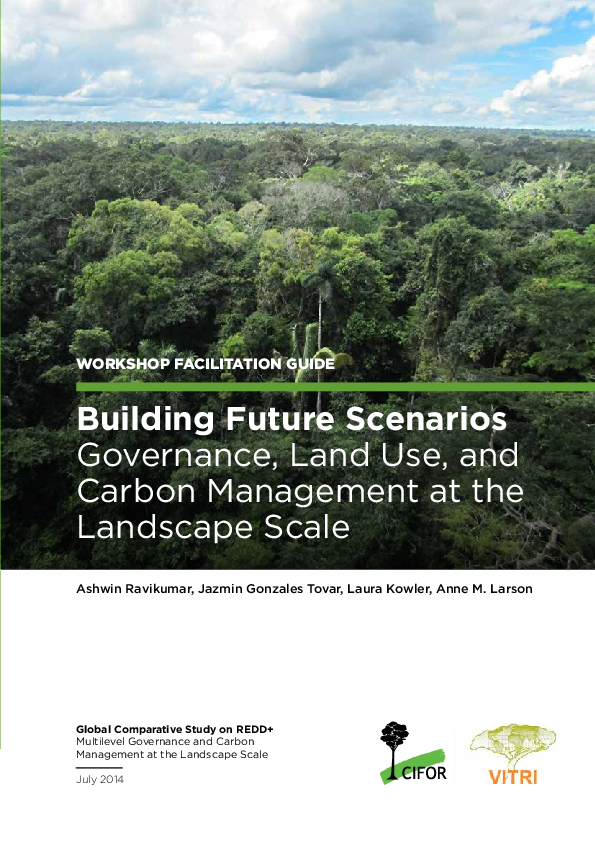 (PDF) Building future scenarios: Governance, land use and carbon ...