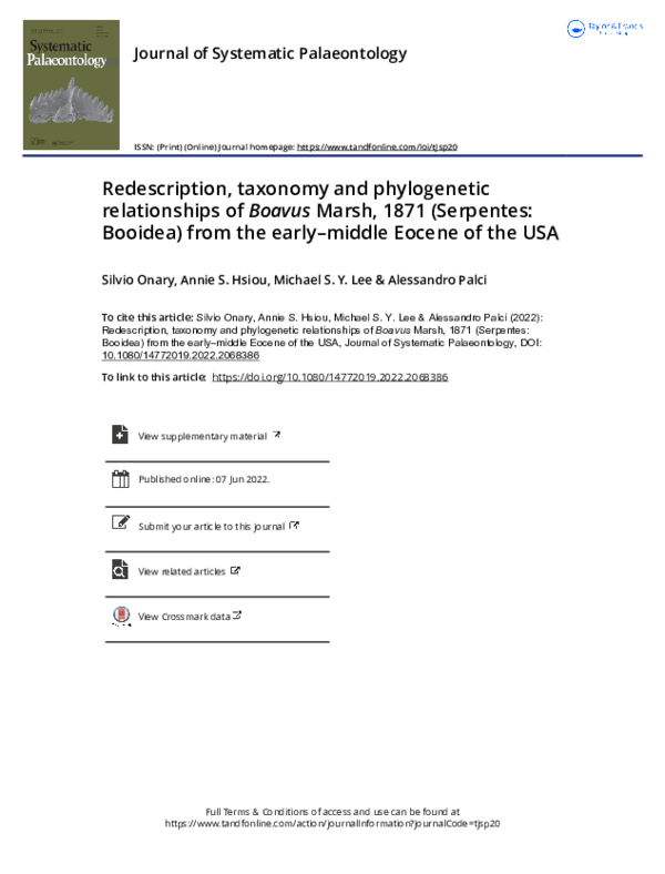 (PDF) Redescription, taxonomy and phylogenetic relationships of Boavus ...