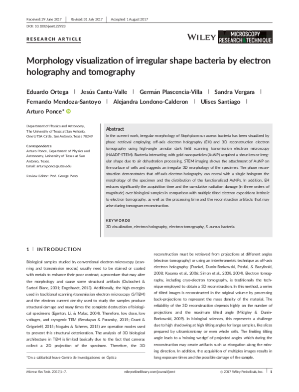 (PDF) Morphology visualization of irregular shape bacteria by electron ...