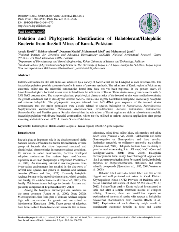 (PDF) Isolation and phylogenetic identification of halotolerant / halophilic bacteria from the ...