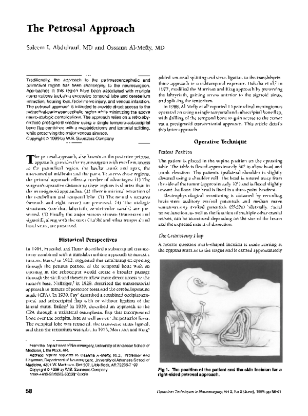 (PDF) The petrosal approach