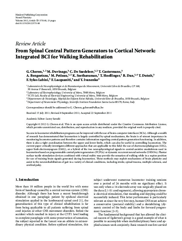 (PDF) From Spinal Central Pattern Generators to Cortical Network ...