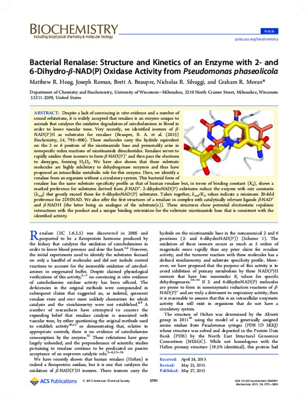 (PDF) Bacterial Renalase: Structure and Kinetics of an Enzyme with 2 ...