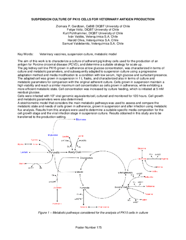 (PDF) Suspension culture of Pk15 cells for veterinary antigen production