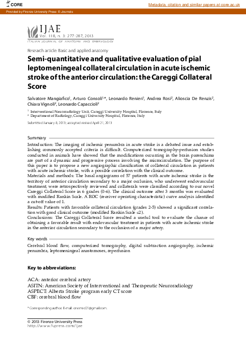 (PDF) Semi-quantitative and qualitative evaluation of pial ...