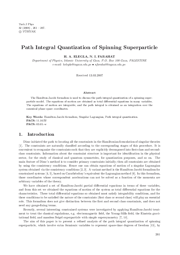 (PDF) Path Integral Quantization of Superstring