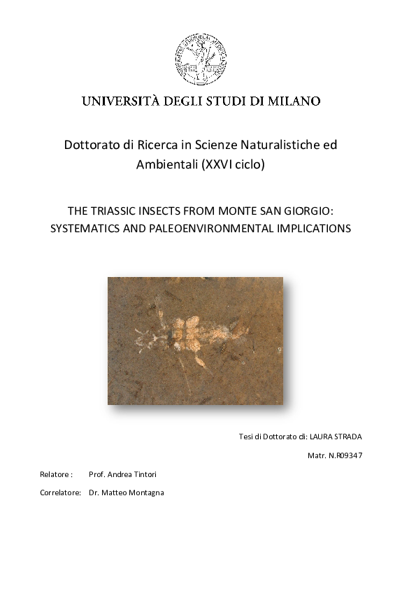 (PDF) The Triassic Insects from Monte San Giorgio: Systematics and ...