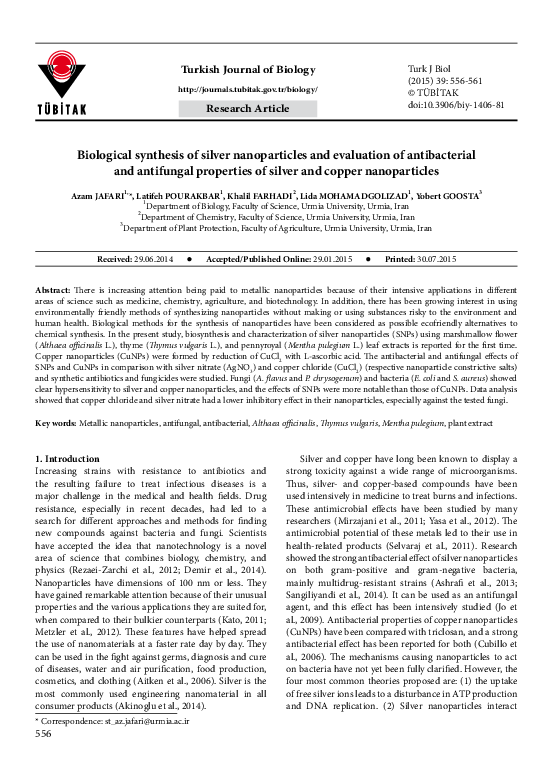 (PDF) Biological Synthesis of Silver Nanoparticles and Its Antibacterial Activity