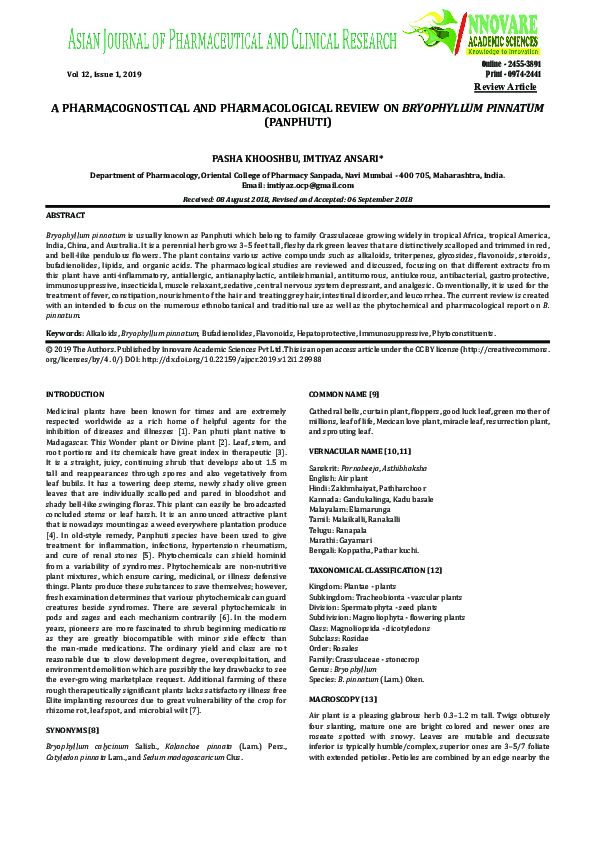 (PDF) A Pharmacognostical and Pharmacological Review on Bryophyllum ...
