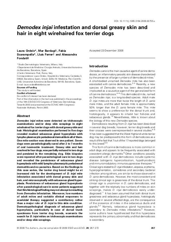 (PDF) Demodex injai infestation and dorsal greasy skin and hair in ...