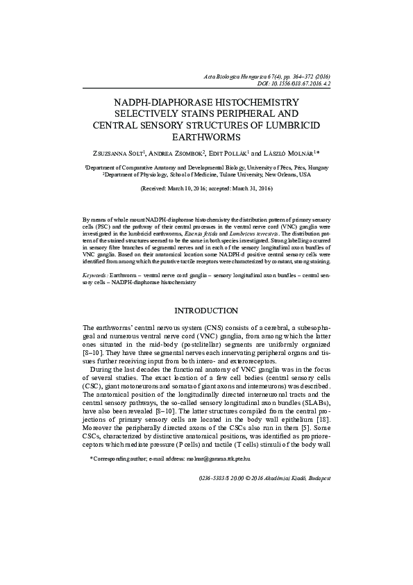 (PDF) NADPH-diaphorase histochemistry selectively stains peripheral and ...
