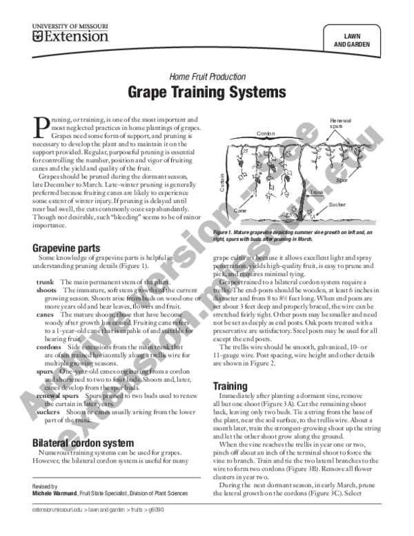(PDF) Home fruit production : grape training systems