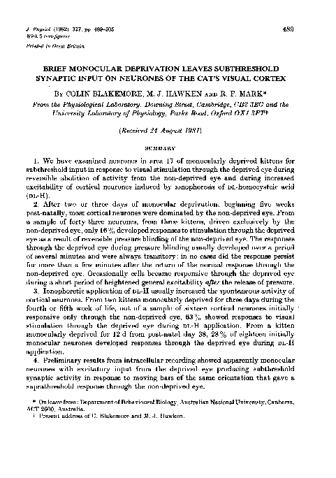 (PDF) Brief monocular deprivation leaves subthreshold synaptic input on neurones of the cat's ...