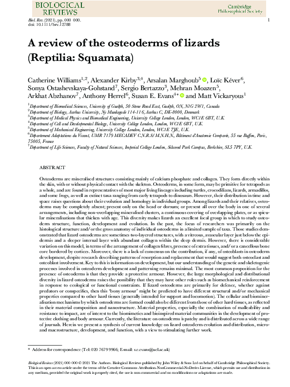 (PDF) A review of the osteoderms of lizards (Reptilia: Squamata)