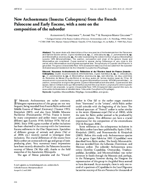 (PDF) New Archostemata (Insecta: Coleoptera) from the French Paleocene ...