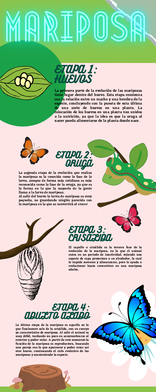 (PDF) Verde Ilustración Mariposa Cronograma Infografía