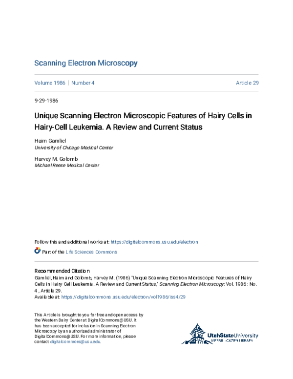 (PDF) Unique scanning electron microscopic features of hairy cells in ...