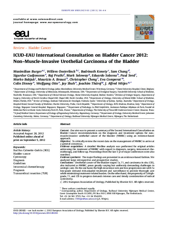 (PDF) ICUD-EAU International Consultation on Bladder Cancer 2012: Non ...