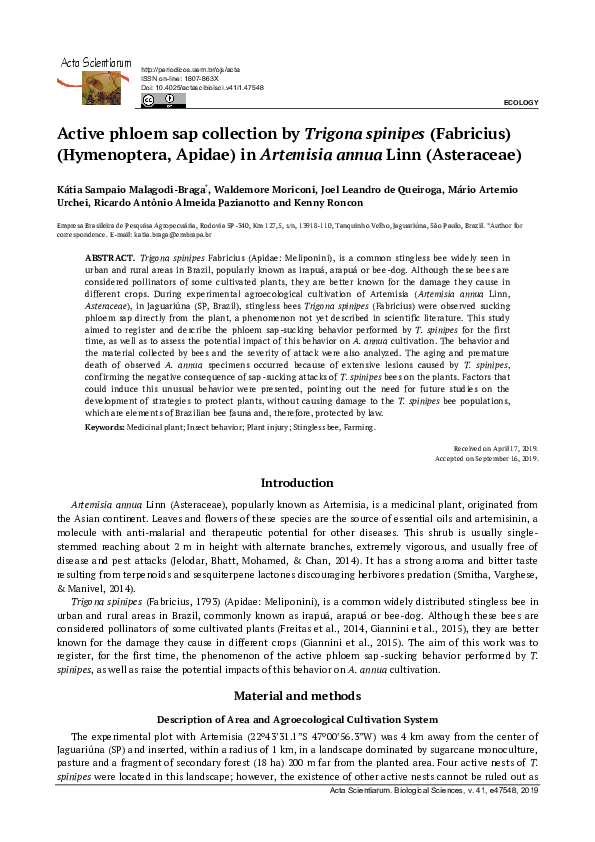 (PDF) Active phloem sap collection by Trigona spinipes (Fabricius ...