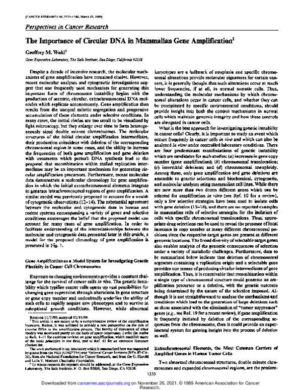 (PDF) Circular DNA's Role in Mammalian Gene Amplification