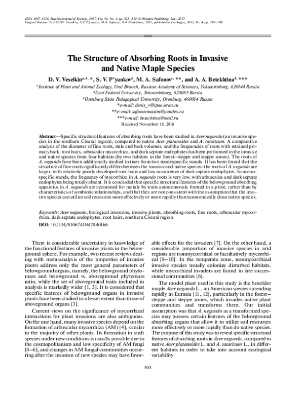 (PDF) The structure of absorbing roots in invasive and native maple species
