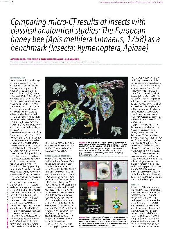 (PDF) . Comparing micro CT results of insects with classical anatomical ...