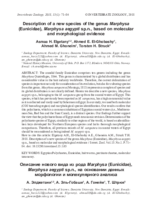 (PDF) Description of a new species of the genus Marphysa (Eunicidae ...