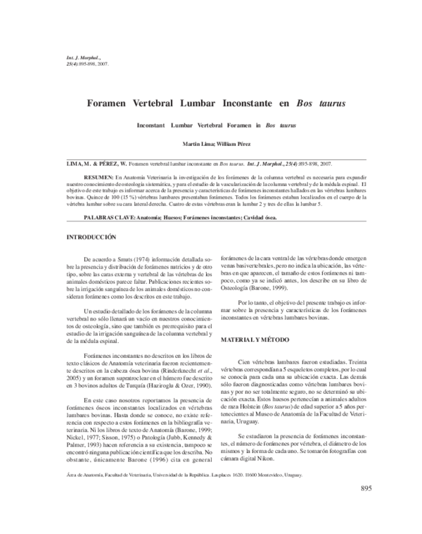 (PDF) Foramen Vertebral Lumbar Inconstante en Bos taurus