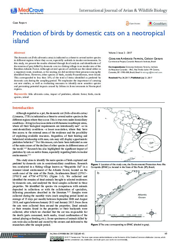 (PDF) Predation of Birds by Domestic Cats on a Neotropical Island