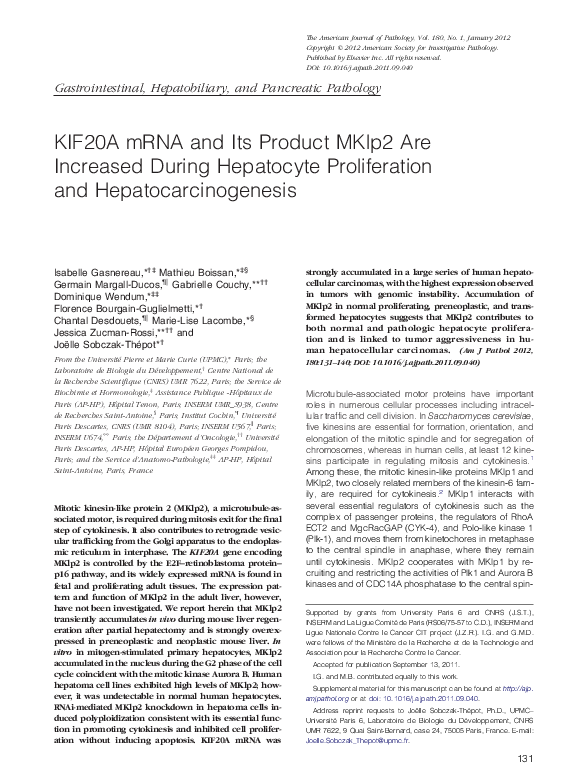 (PDF) KIF20A mRNA and Its Product MKlp2 Are Increased During Hepatocyte Proliferation and ...