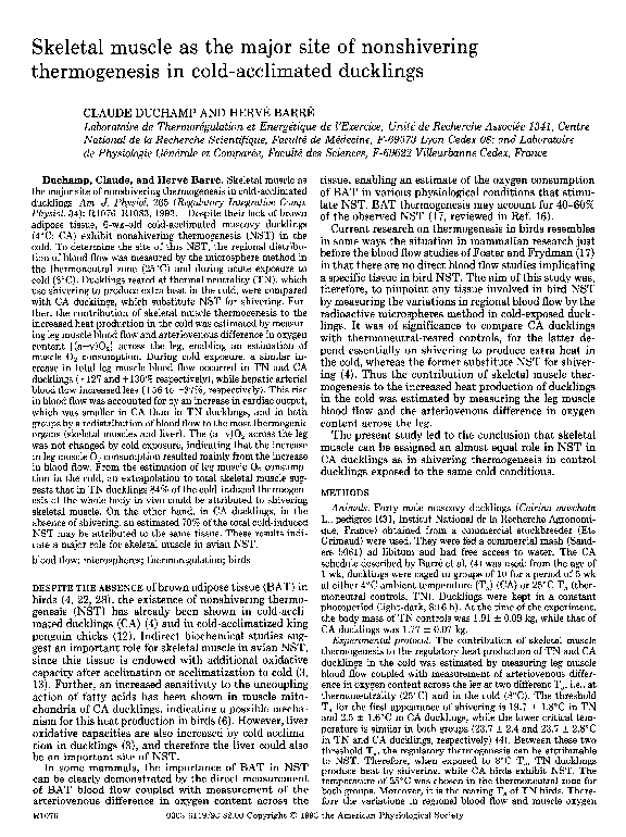 (PDF) Skeletal muscle as the major site of nonshivering thermogenesis ...