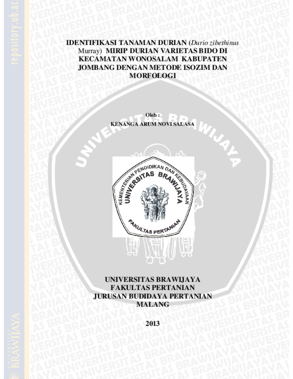 (PDF) IDENTIFIKASI TANAMAN DURIAN (Durio zibethinus Murray) MIRIP ...
