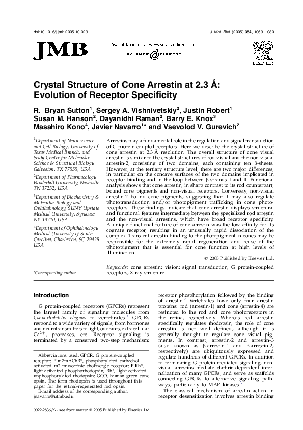 (PDF) Crystal Structure of Cone Arrestin at 2.3Å: Evolution of Receptor ...