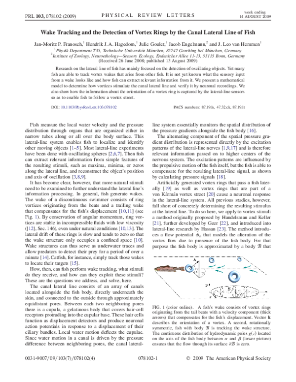(PDF) Wake Tracking and the Detection of Vortex Rings by the Canal ...