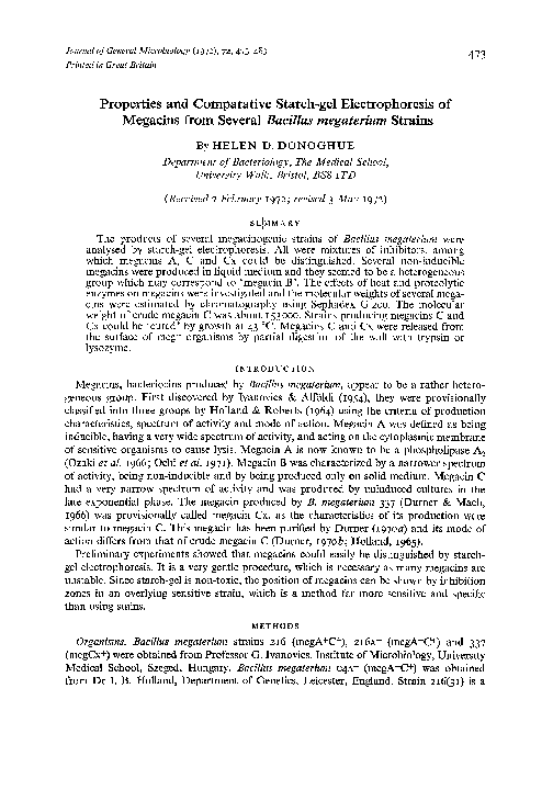 (PDF) Properties and Comparative Starch-gel Electrophoresis of Megacins ...