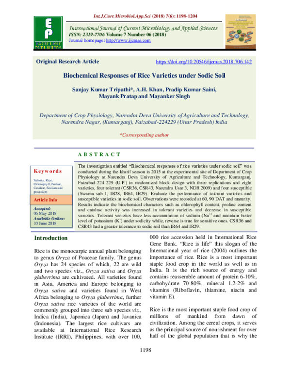 (PDF) Biochemical Responses of Rice Varieties under Sodic Soil