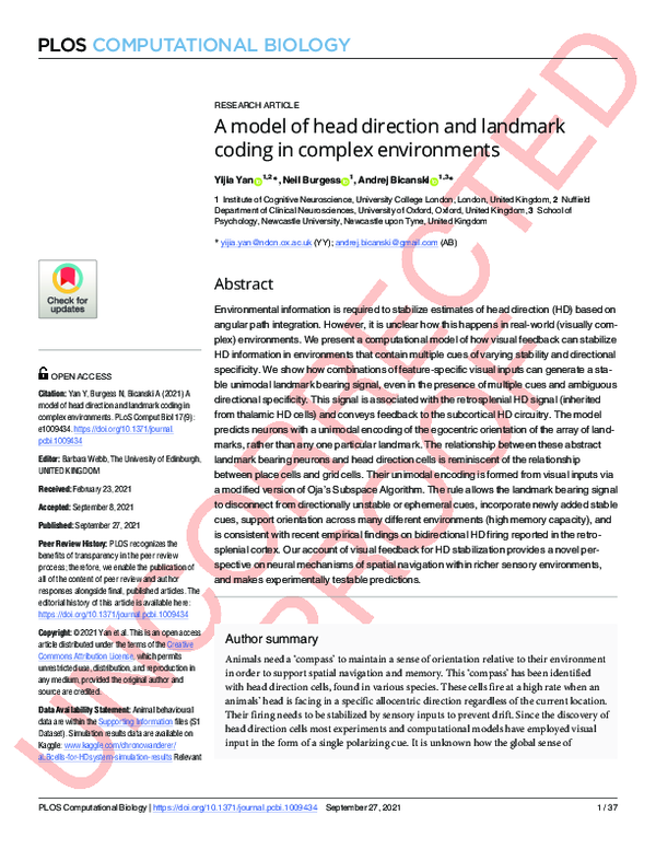 (PDF) A model of head direction and landmark coding in complex environments