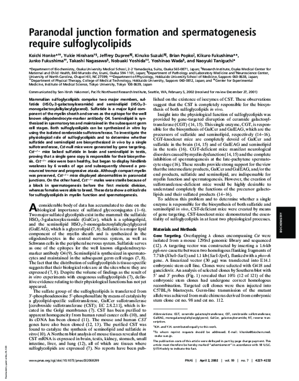 (PDF) Sulfoglycolipids in Paranodal Junctions & Spermatogenesis