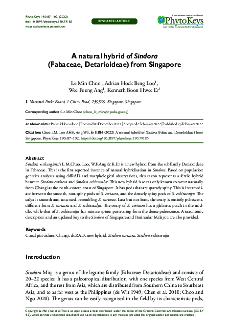 (PDF) A natural hybrid of Sindora (Fabaceae, Detarioideae) from Singapore