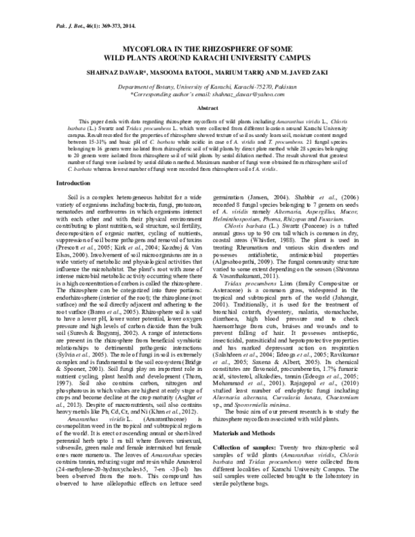 (PDF) Mycoflora in the Rhizosphere of Some Wild Plants Around Karachi ...