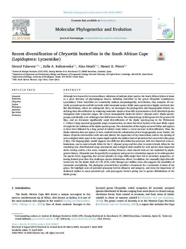 (PDF) Recent diversification of Chrysoritis butterflies in the South ...