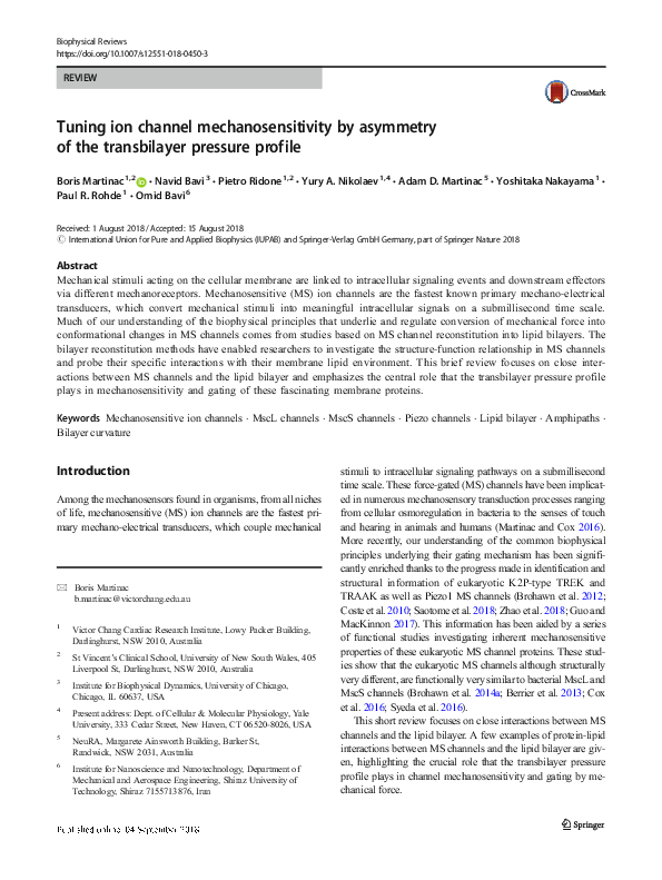 (PDF) Tuning ion channel mechanosensitivity by asymmetry of the ...