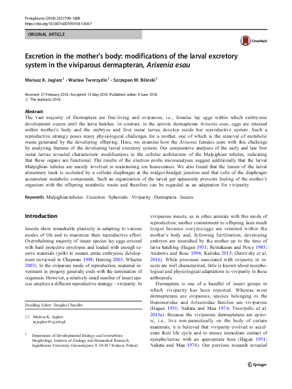 (PDF) Excretion in the mother’s body: modifications of the larval ...